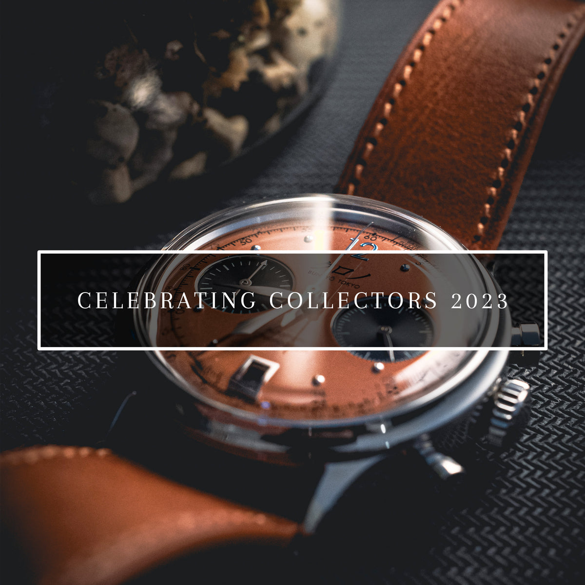 CELEBRATING COLLECTORS BOOK